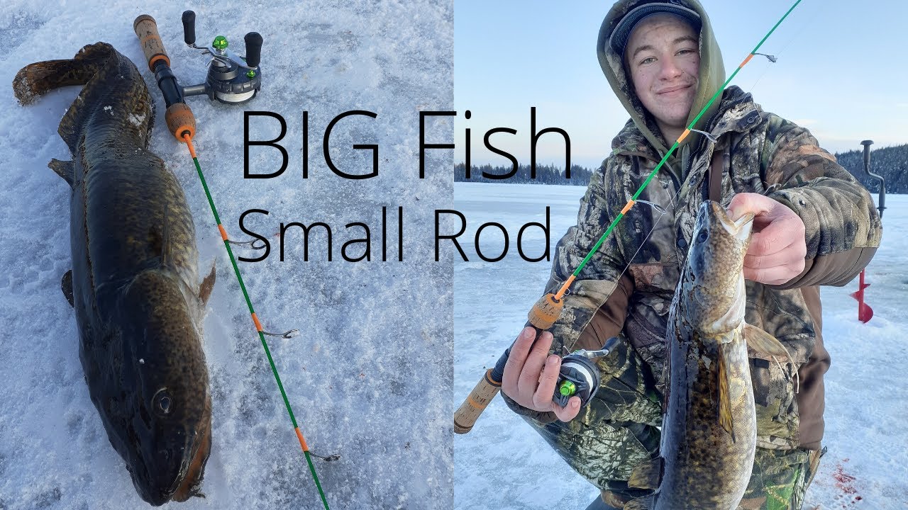 BIG Fish VS Small Rod (Black Pine Creative) - YouTube