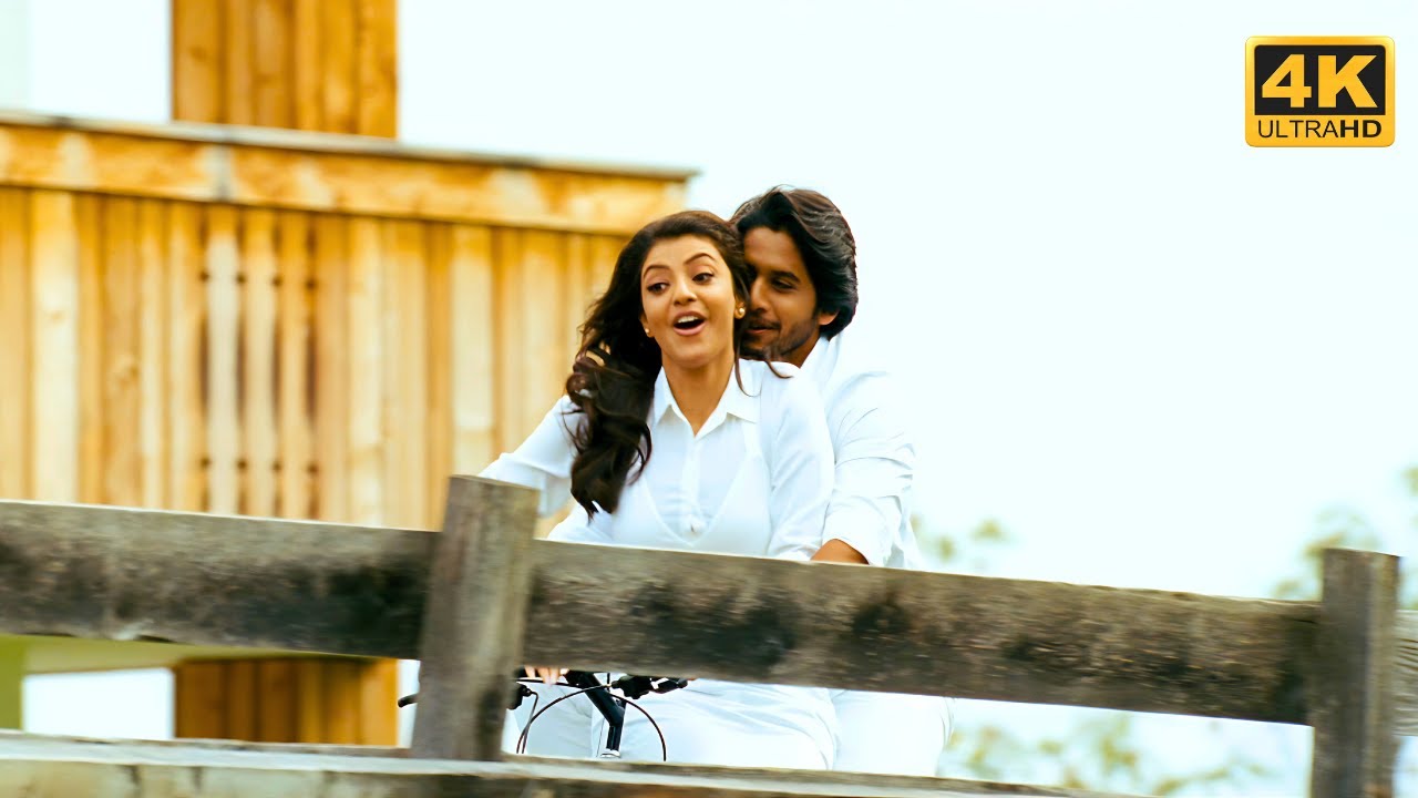 Hello Hello Laila 4K Video Song || Dhada || Devi Sri Prasad || Naga ...