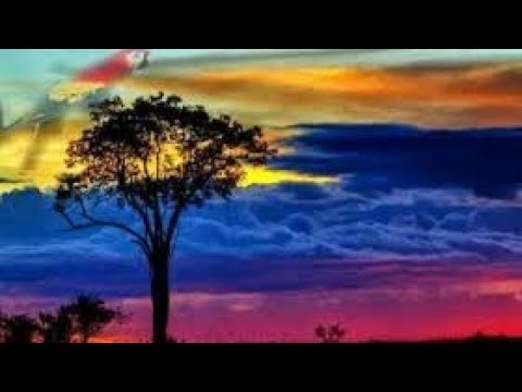 ESPERANZA | LETRA - YouTube