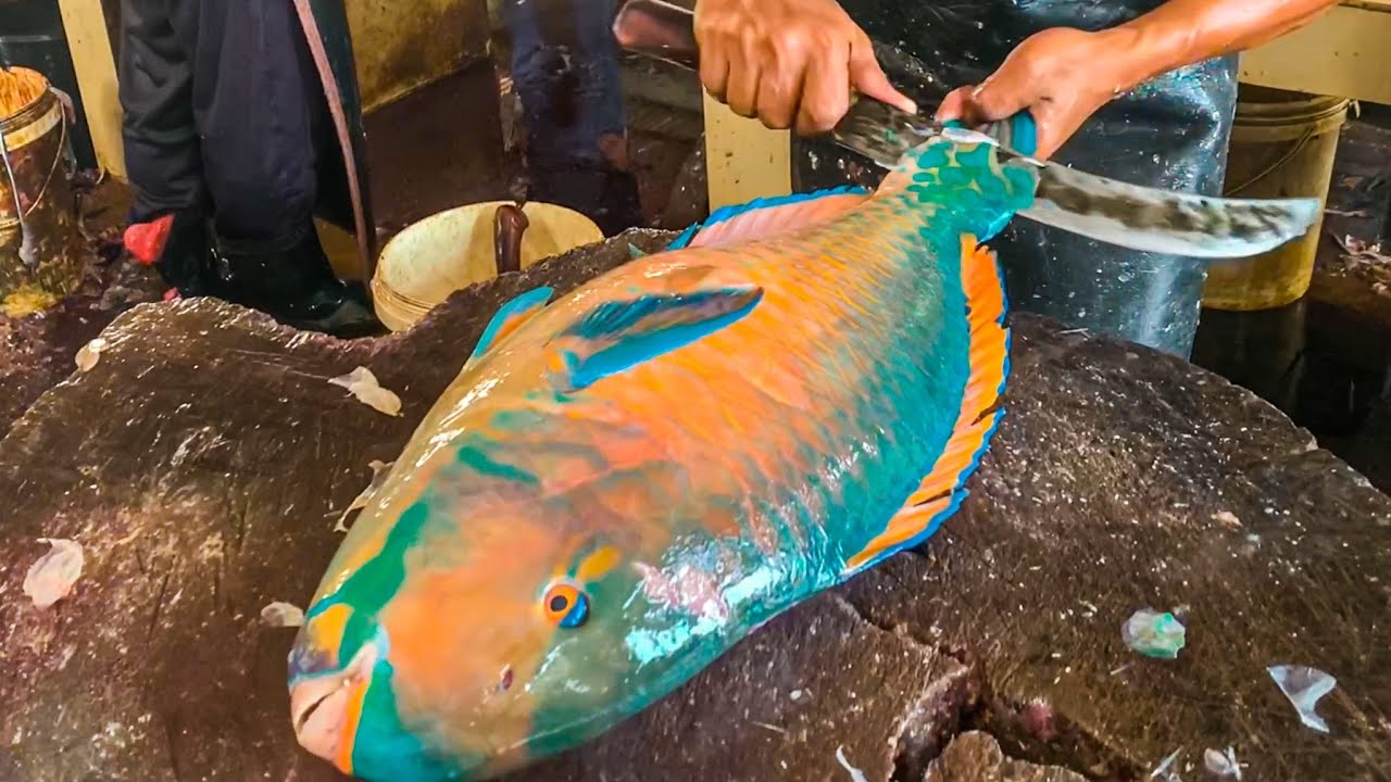 FASTEST RARE FISH CUTTING SKILLS || SATISFYING VIDEO FISH CUTTING - YouTube