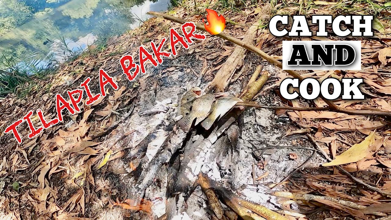 Teknik Mancing Tilapia / Nila Tasik. Catch And Cook. - YouTube
