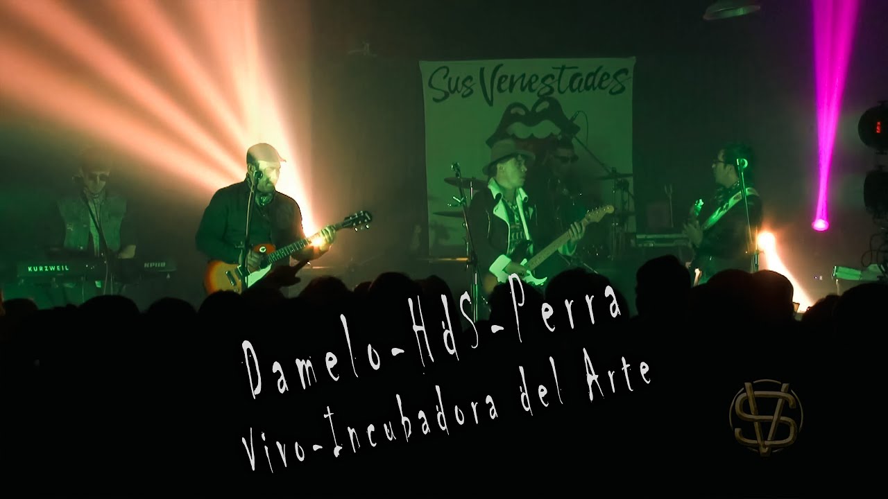 Sus Venestades DAMELO-HDS-PERRA (en Vivo 14- 6 -25) - YouTube