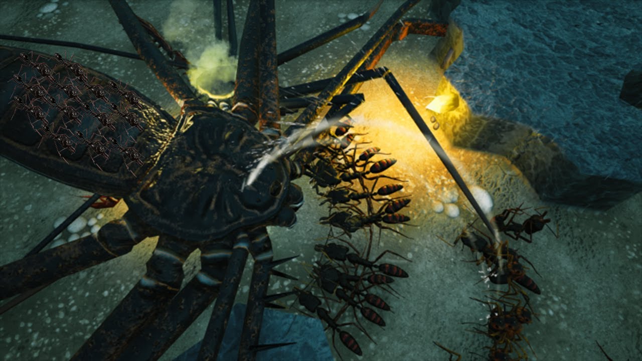 GODZILLA SPIDER | Empires of the Undergrowth - Aggrandise - YouTube