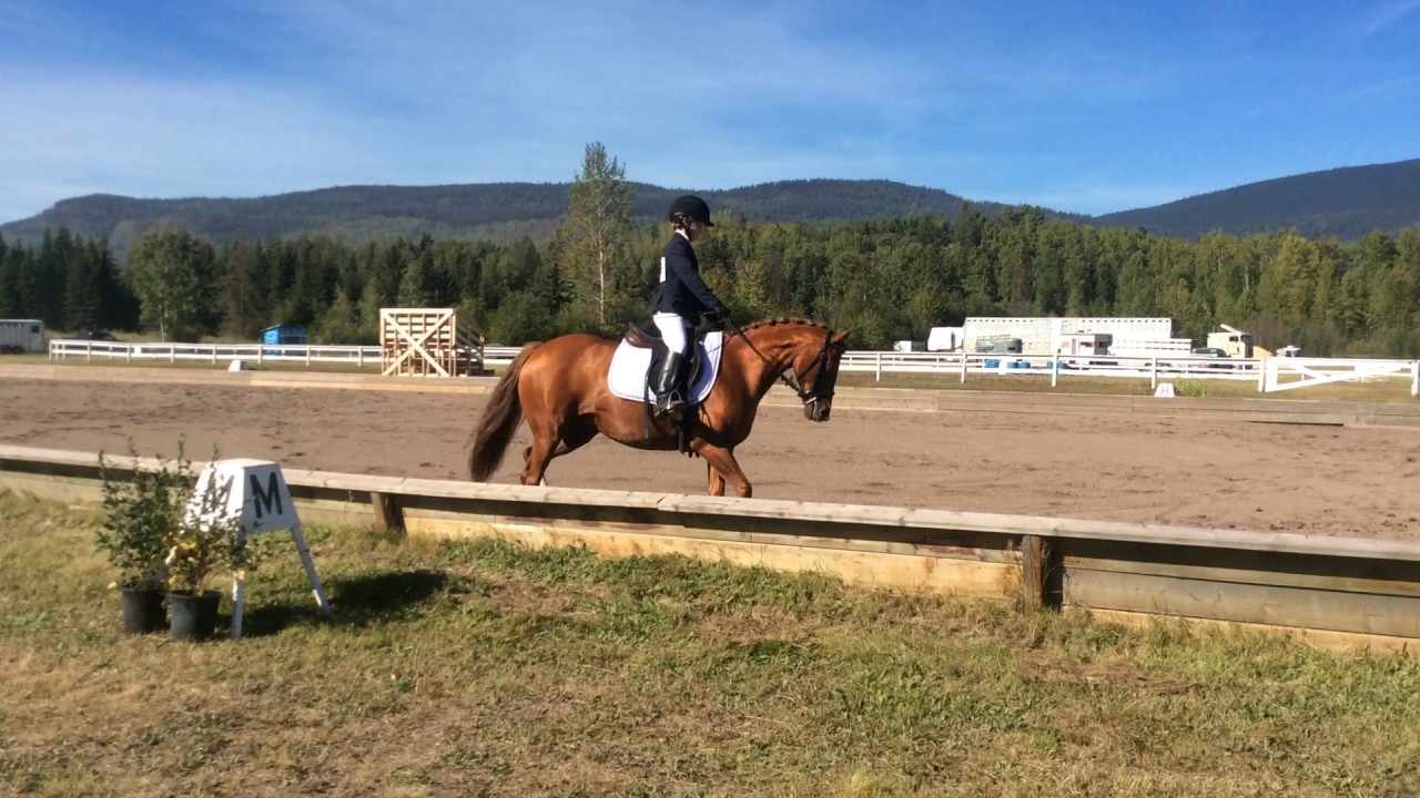 Honey Smithers Fall fair 2016 - YouTube