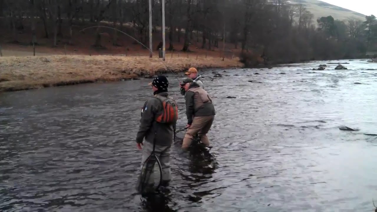 French nymphing - YouTube