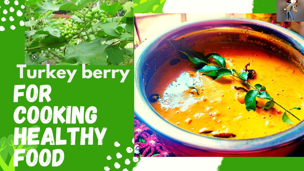Turkey berry curry recipe malayalam/how to/chundakkai coconut curd ...