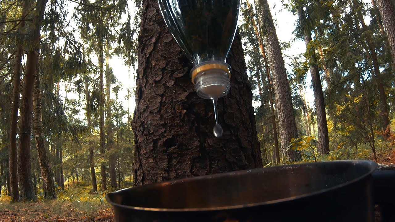BUSHCRAFT | WATER FILTER IN WILDERNESS | (ASMR) - YouTube