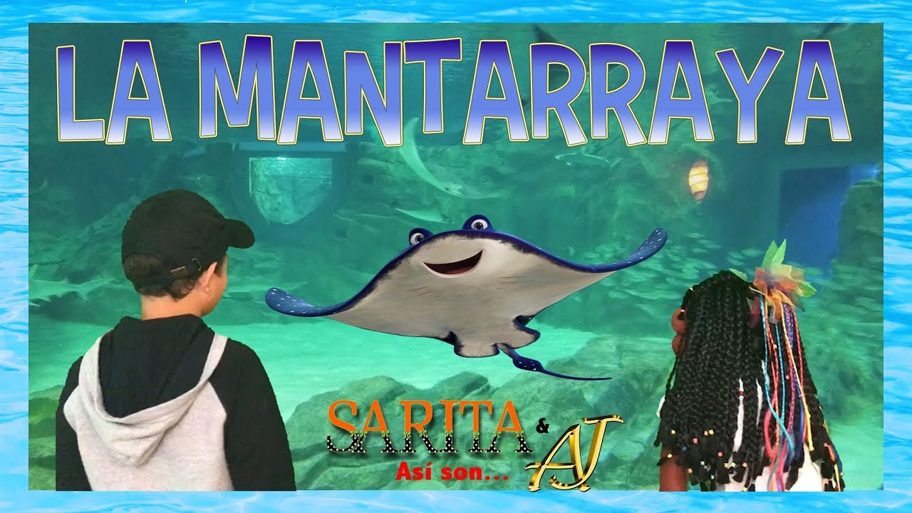 💧"Las Mantarrayas" 🌊 y sus características 👧🏽👦🏻Sarita & AJ, Así son ...