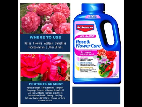 Can You Use Bayer Systemic Rose On Houseplants
