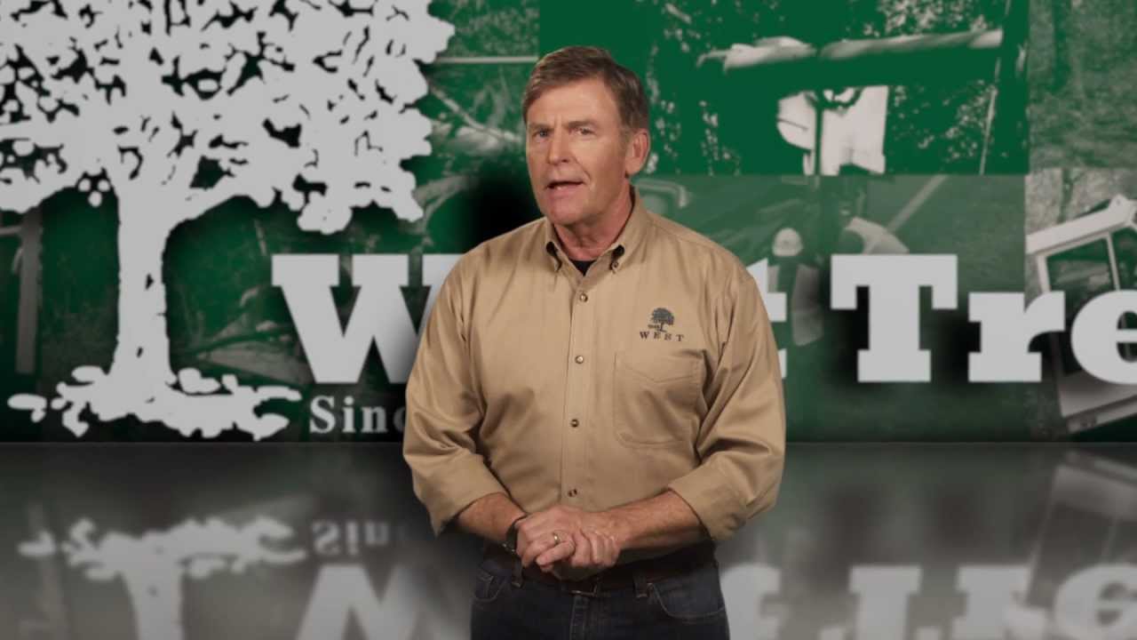 West Tree Service | "Applicant Video" - YouTube