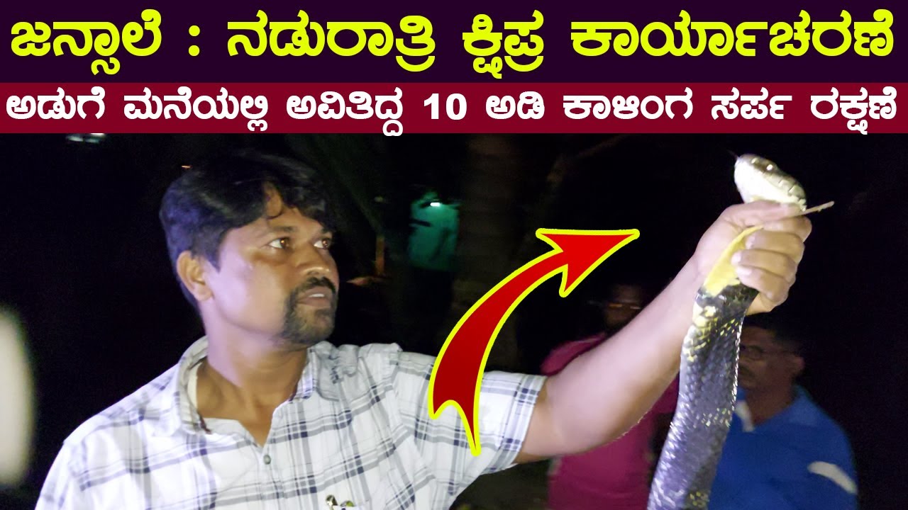 ಜನ್ಸಾಲೆ : ಅಡುಗೆ ಮನೆಯಲ್ಲಿ ಸೆರೆಸಿಕ್ಕ ವಿಶೇಷ ಅತಿಥಿ😳King Cobra🔥Snake Shankar ...