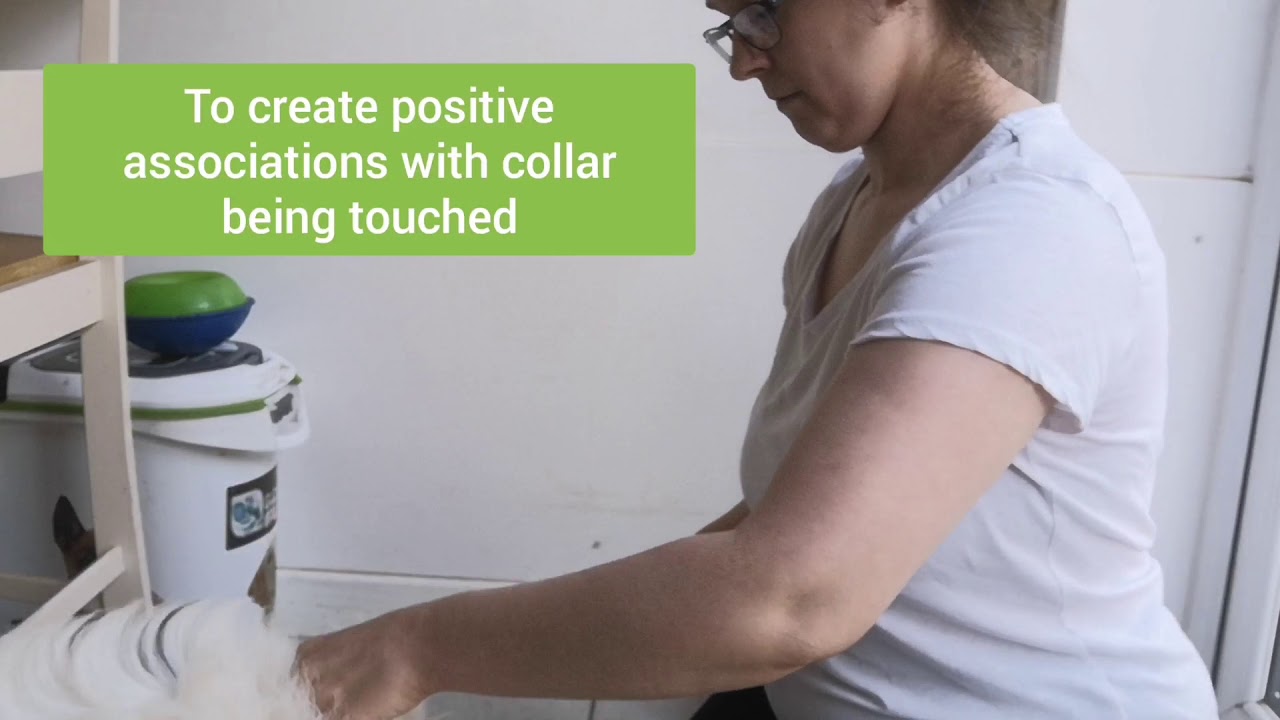 Collar grab game - YouTube