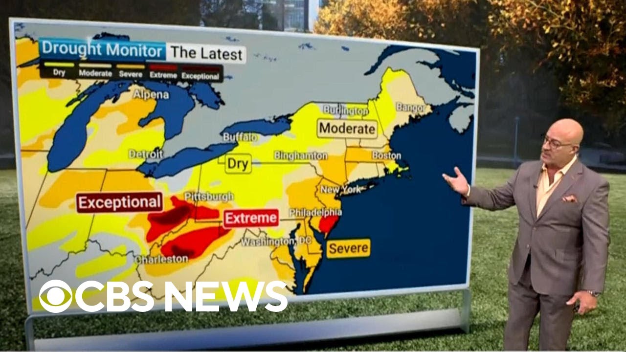 Details on Tropical Storm Sara's path, impact - YouTube