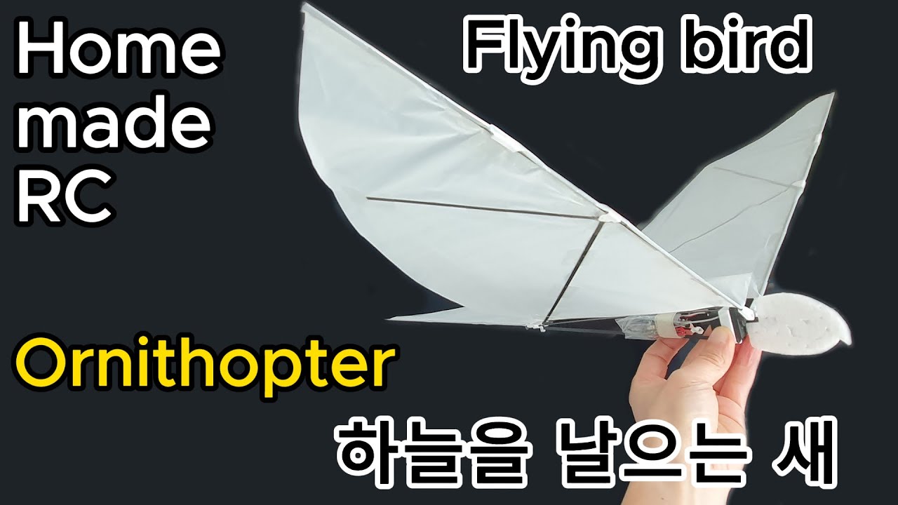 Home made RC flying bird_하늘을 날으는 새_Ornithopter #Ornithopter #Flapping ...