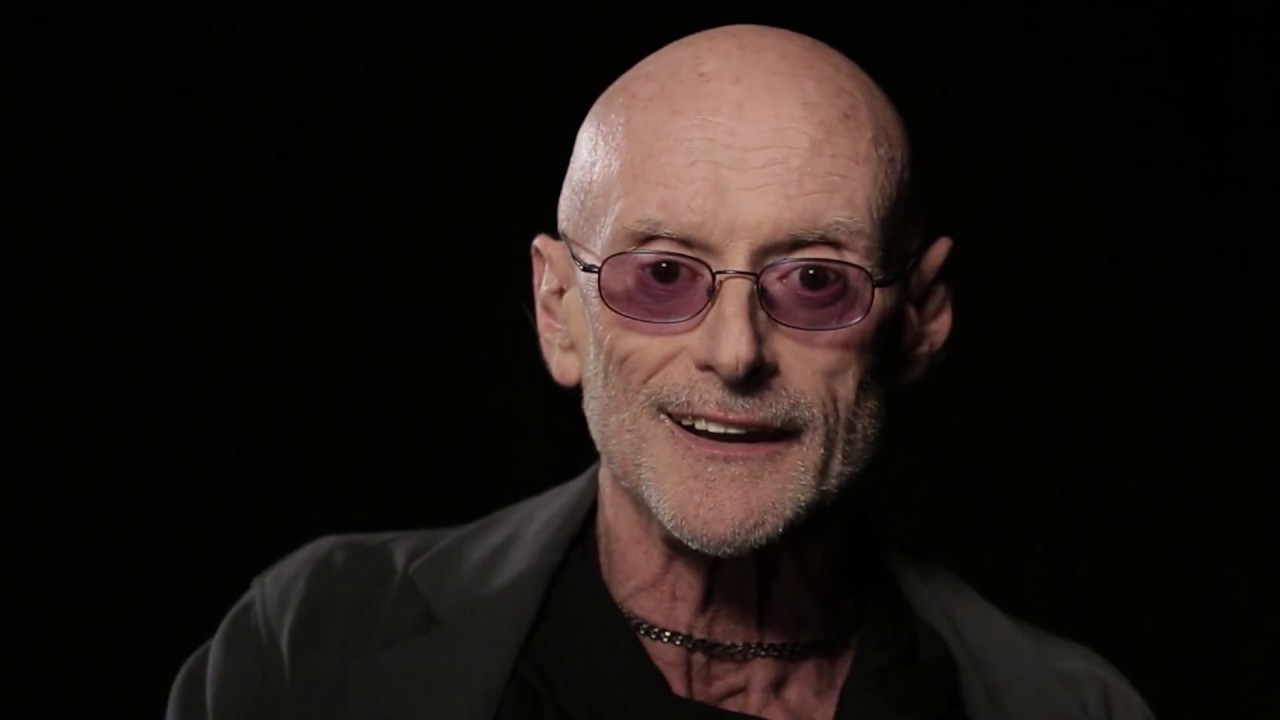 Ken Wilber - A Modern Perspective On "Intelligence" (WeRiseUP) - YouTube