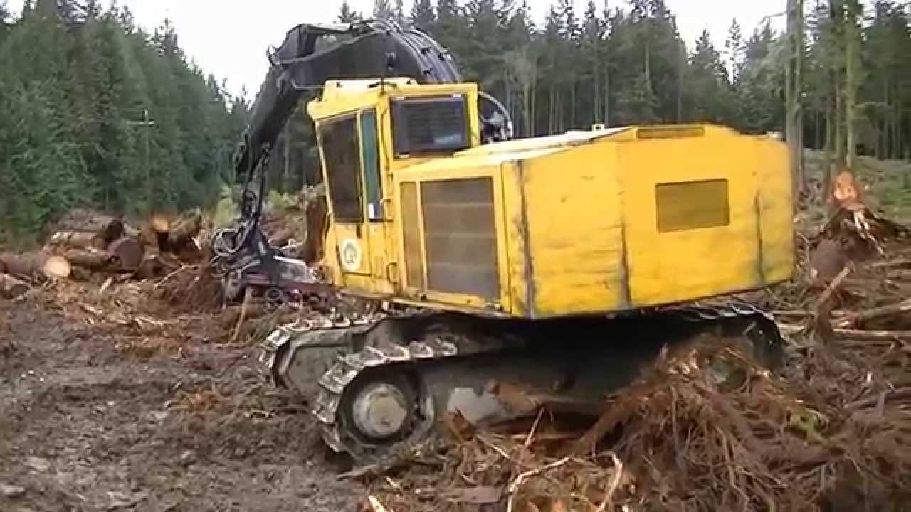 Tigercat Processor/ Feller Buncher - YouTube