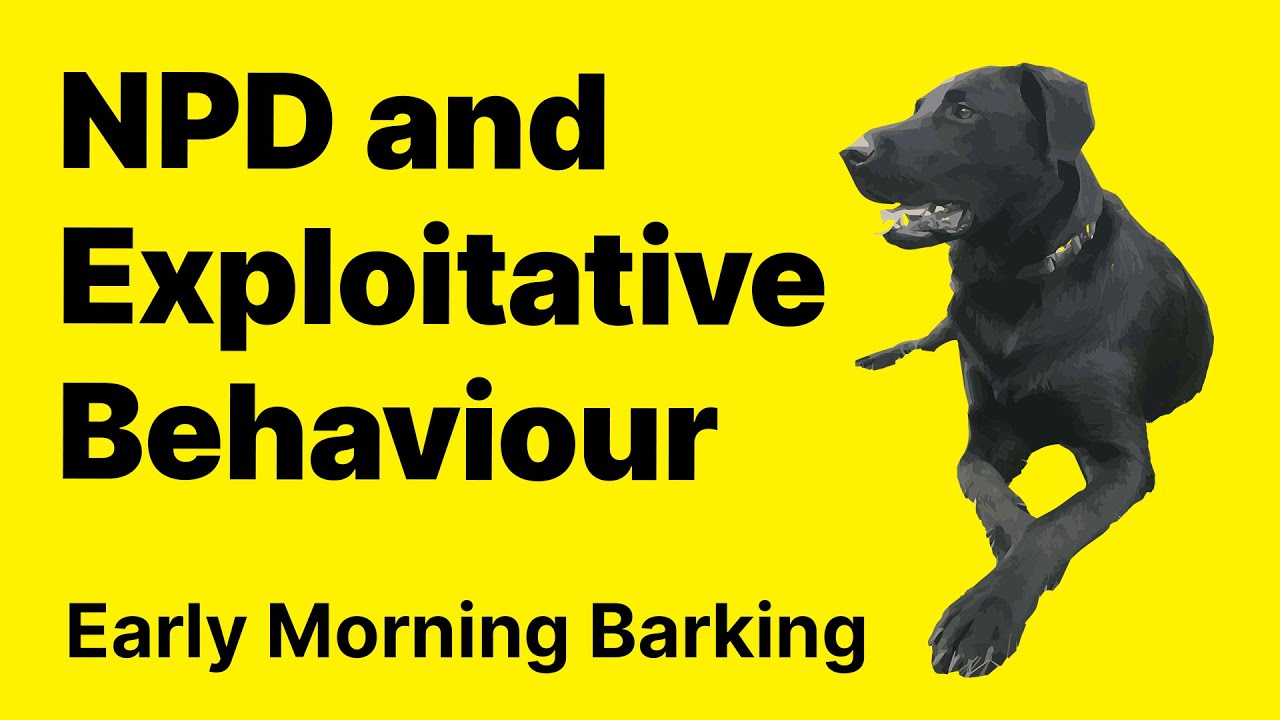 NPD and Exploitative Behaviour | NPD | Narcissistic Personality ...