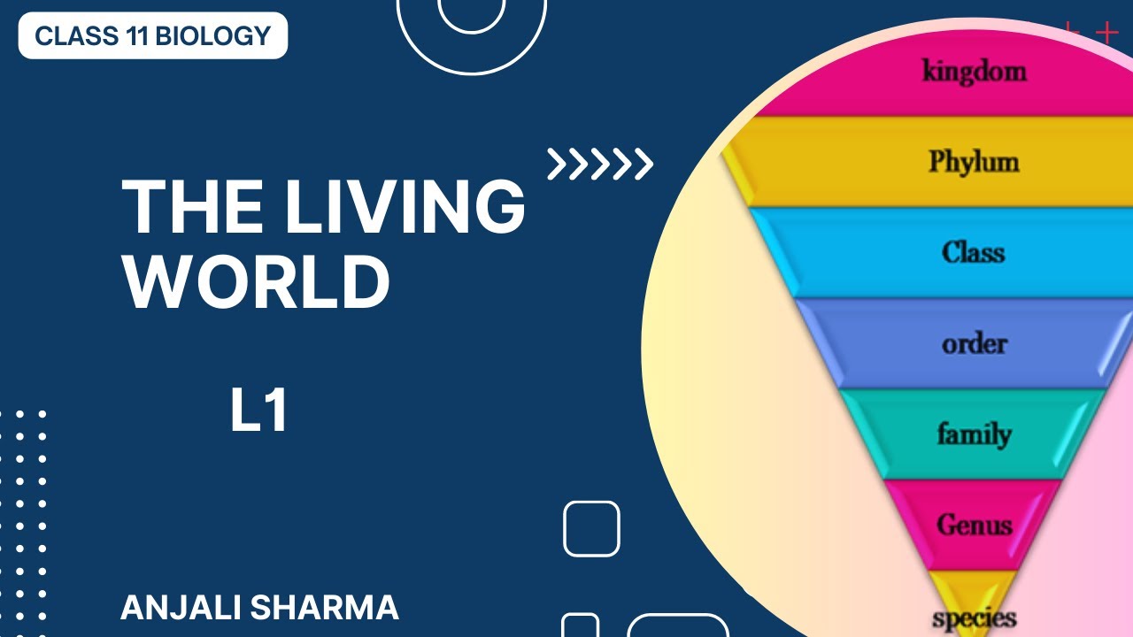The Living World || Class 11 || NCERT || NEET || CBSC - YouTube