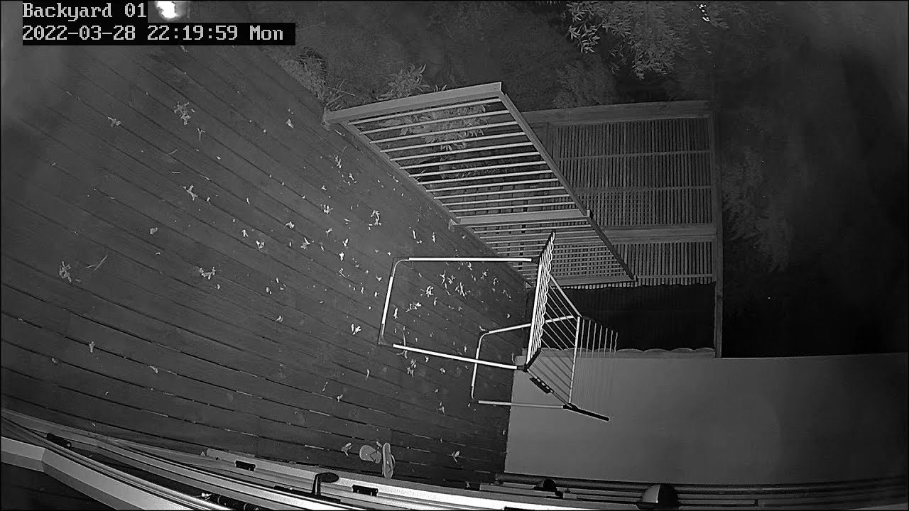 Moths captured with Night Vision CCTV Camera | 29/03/2022 - YouTube