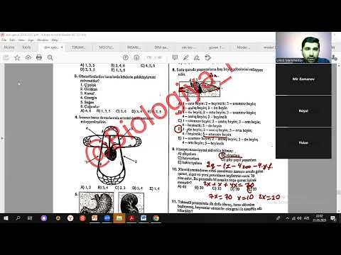 13.02.2022 Biologiya Dim sınaq izahı