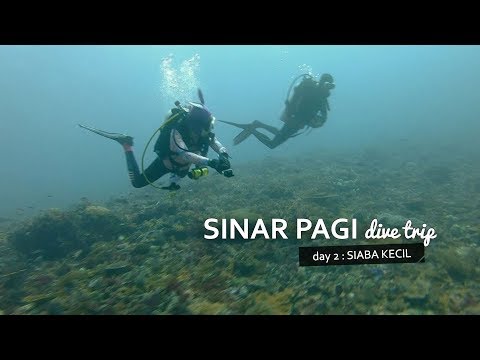 Komodo Diving Trip : Siaba Kecil - YouTube