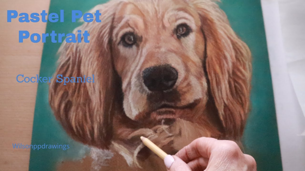Pastel Painting Colour Pencil Pet Drawing / Portrait Cocker Spaniel Dog ...