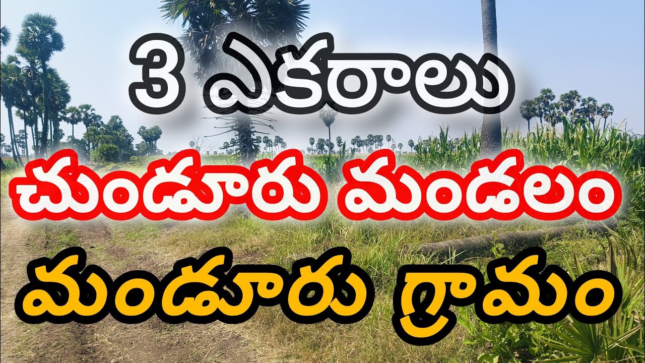 3 ఎకరాలు మండూరు గ్రామంలో డొంక పేస్ పొలం అమ్మబడును #manduru #tsundur # ...