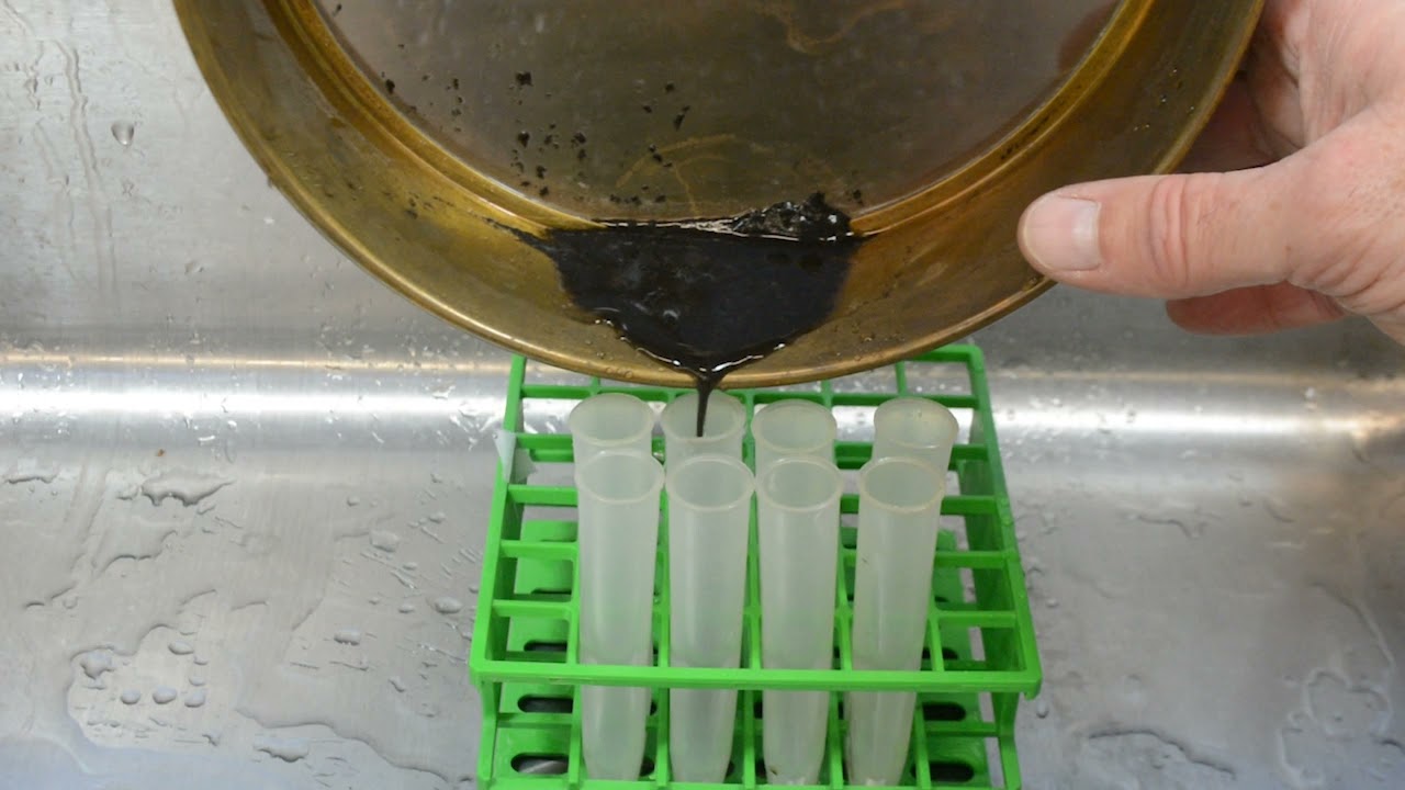 Nematode Extraction 22 - YouTube