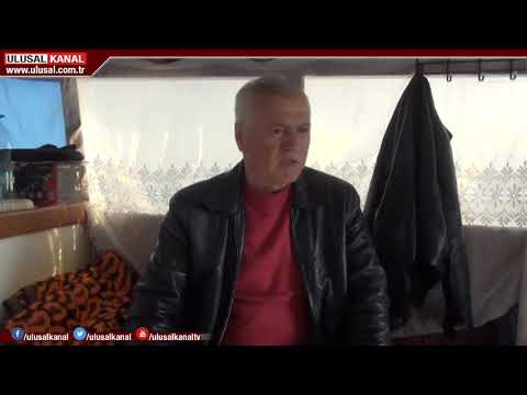 Deniz patlıcanı Çin'e ihraç ediliyor