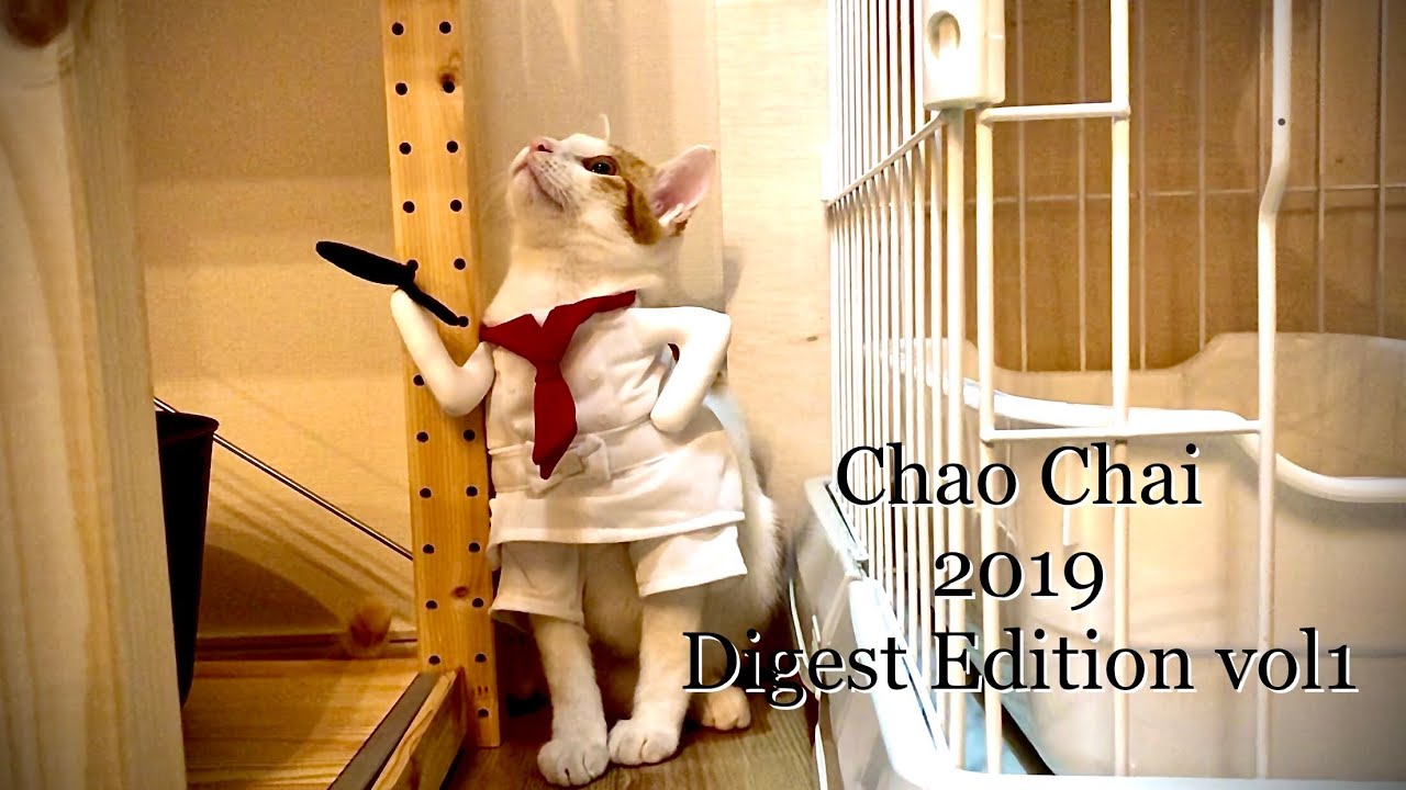 Chao Chai 2019 Digest Edition vol1 - YouTube
