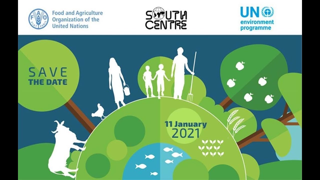 Webinar: Advancing the One Health response to Antimicrobial Resistance ...