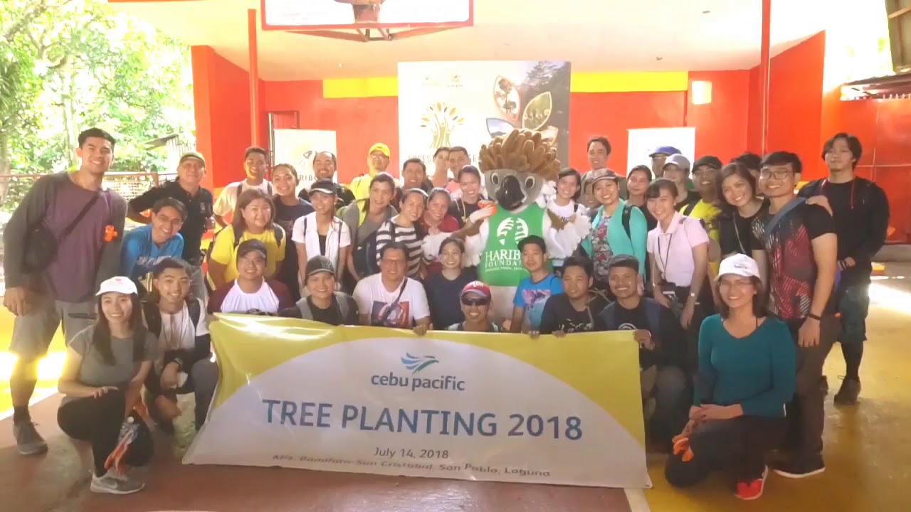 Snapshots from the Forests for Life Movement launch - YouTube