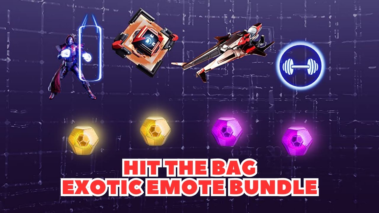 Hit the Bag Exotic Emote Bundle - Destiny 2 - YouTube
