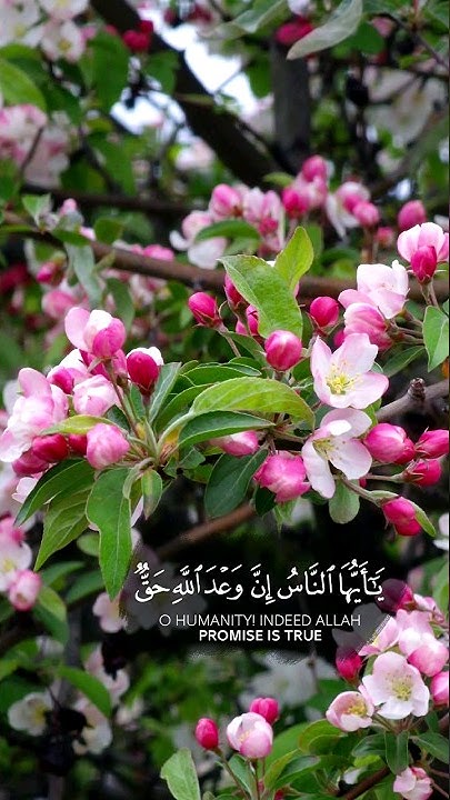{ يا أَيُّهَا النّاسُ إِنَّ وَعدَ اللَّهِ حَقٌّ فَلا تَغُرَّنَّكُمُ