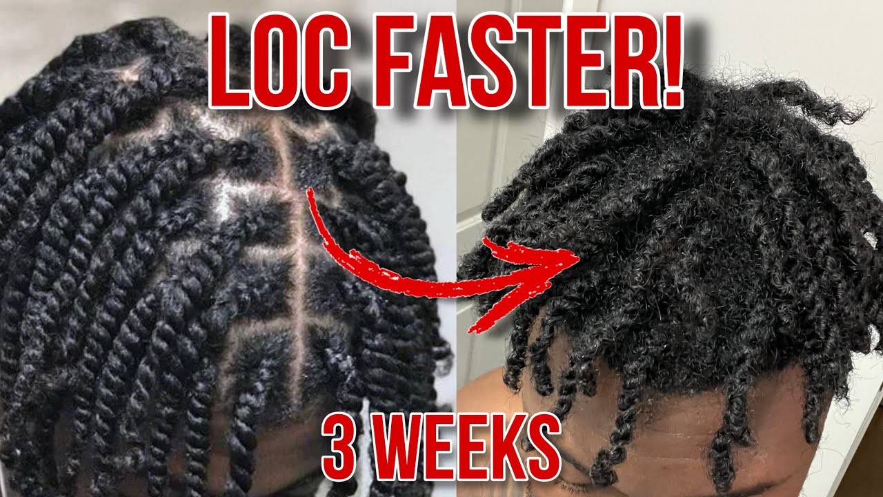 How To Take Care of Your Two Strand Twist Starter Locs on 4C Hair 🌱 ...