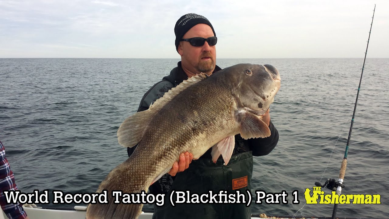 World Record Blackfish (Tog) Ken Westerfeld Part 1 - YouTube