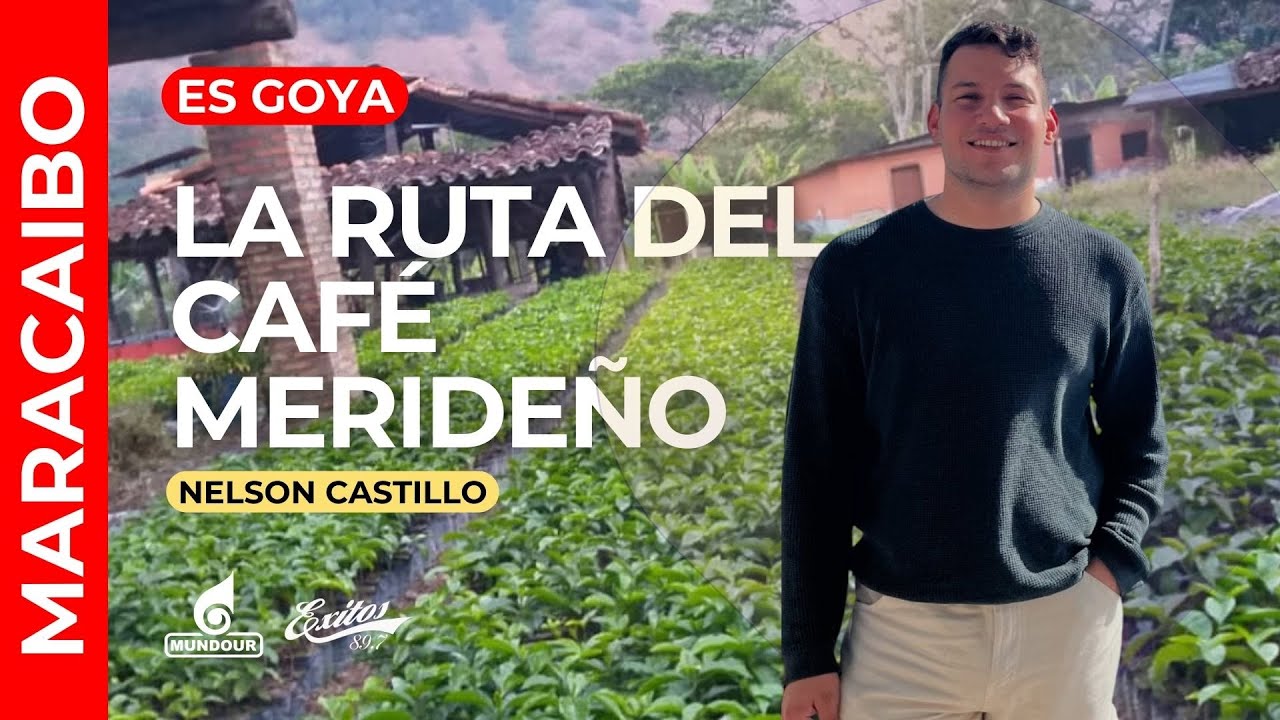 LA RUTA DEL CAFE MERIDEÑO CON NELSON CASTILLO | Es Goya en Éxitos 89.7 #Maracaibo - YouTube