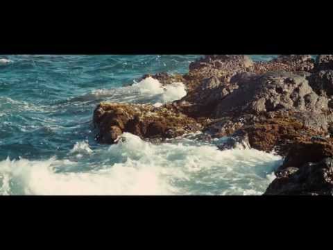 Cicada - 匯流向海 into the Ocean《邊境消逝》