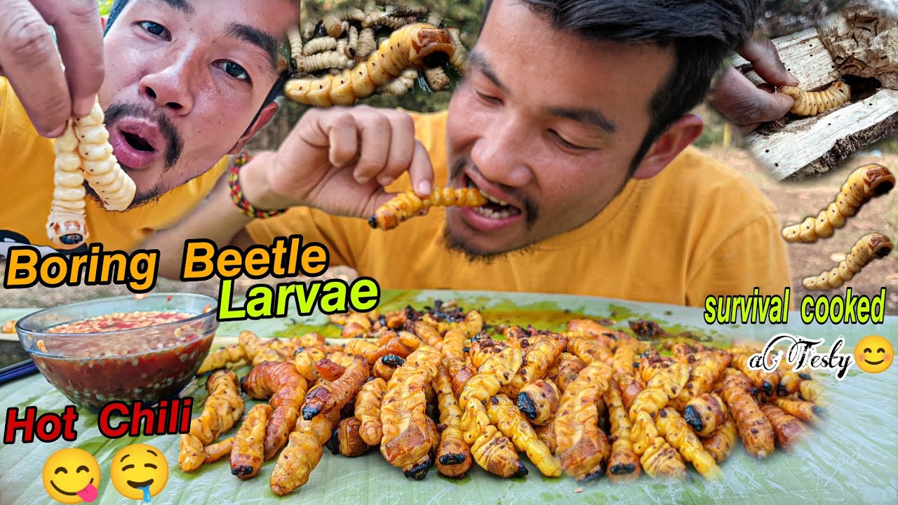 Survival Skills:Boring Beetle Larvae On Tree For Food/Cooking Larvae ...