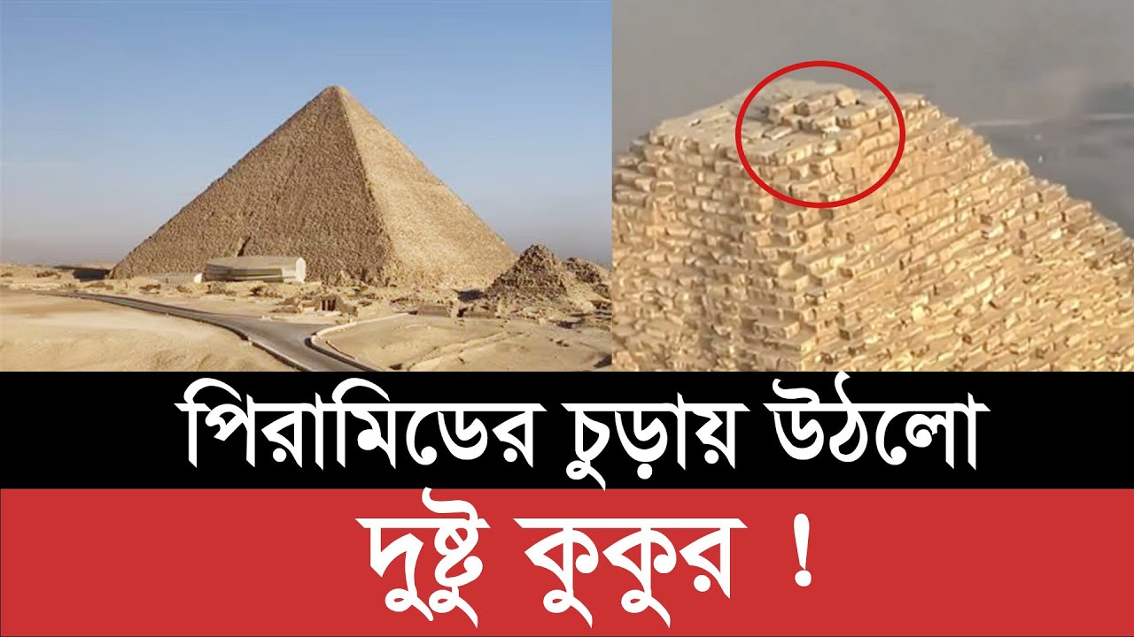 পিরামিডের চুড়ায় উঠলো দুষ্টু কুকুর ! Gijer Piramid। Asianpost - YouTube