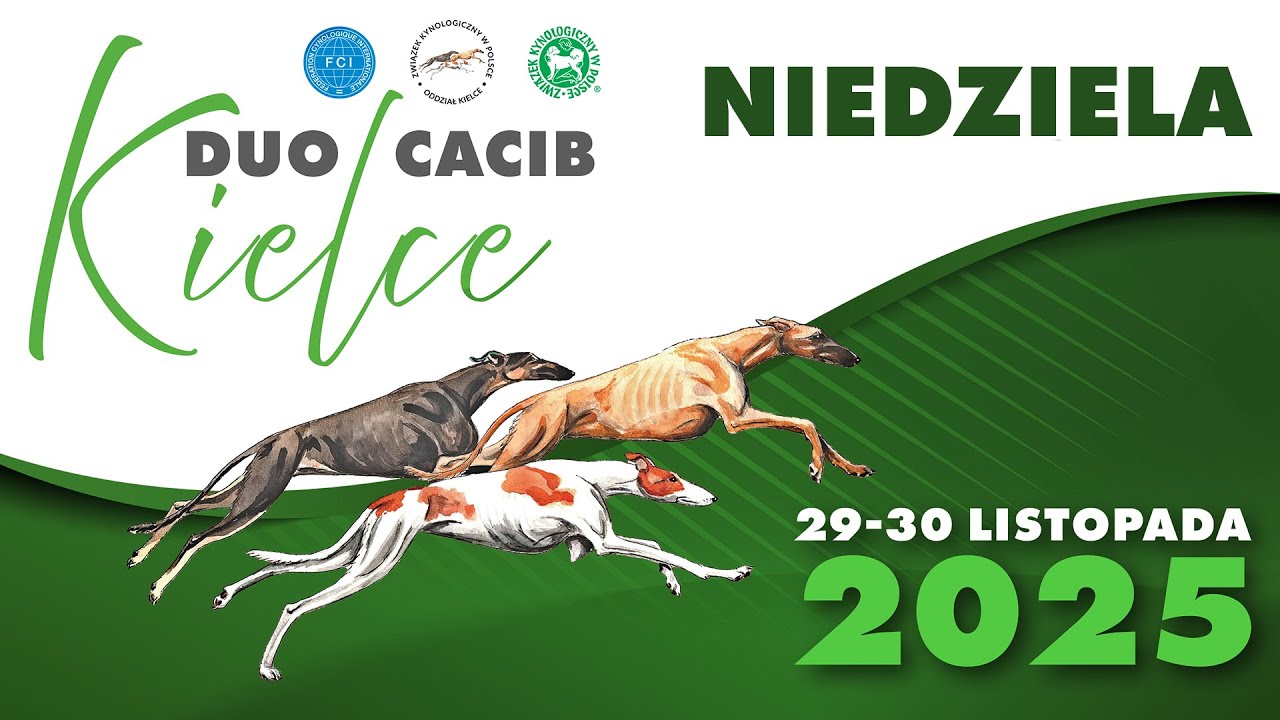 Kielce CACIB - 30.11.2025 - YouTube