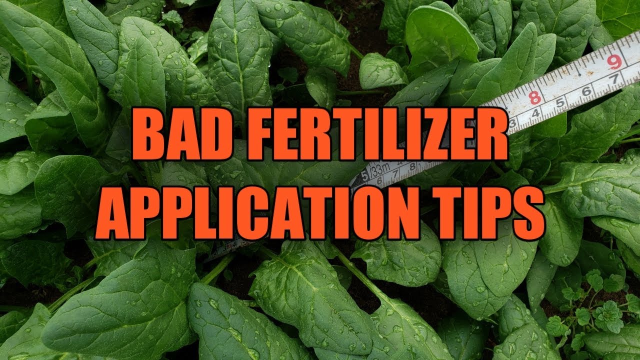 Baka Bad Fertilizer Application Ka. - YouTube