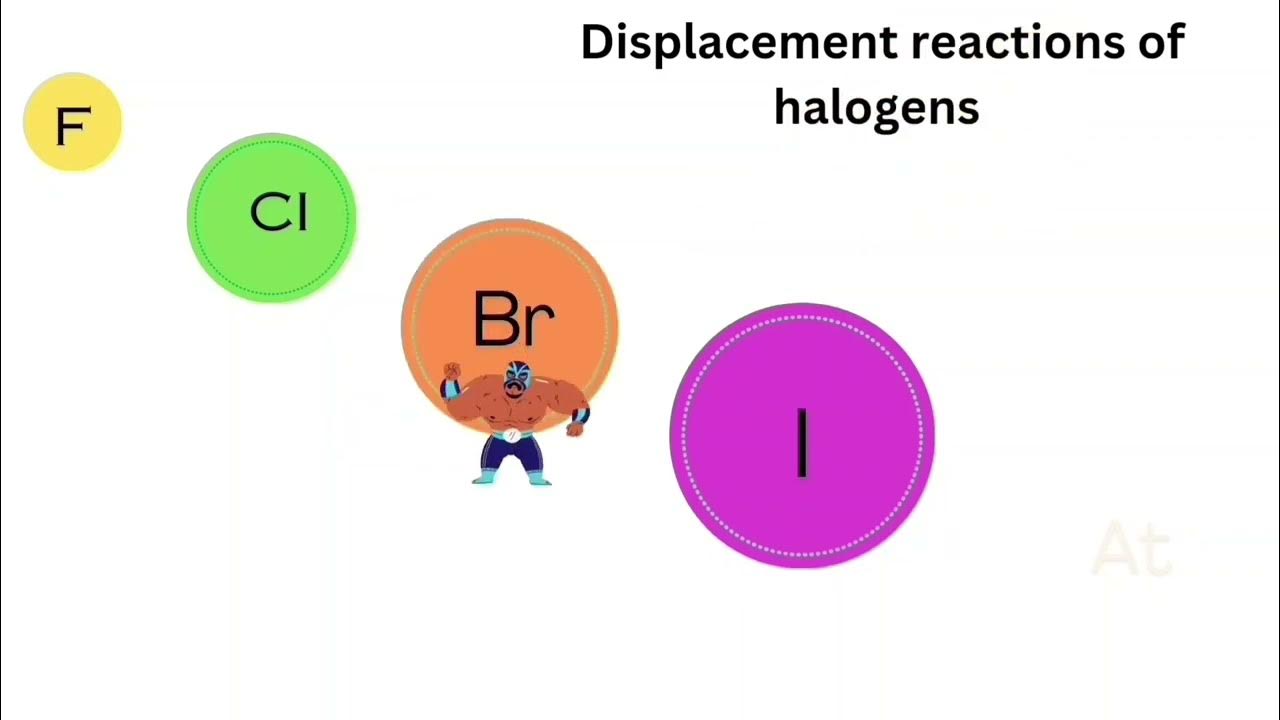 Halogen Displacement Reactions Explained: Discover the Reactivity of ...
