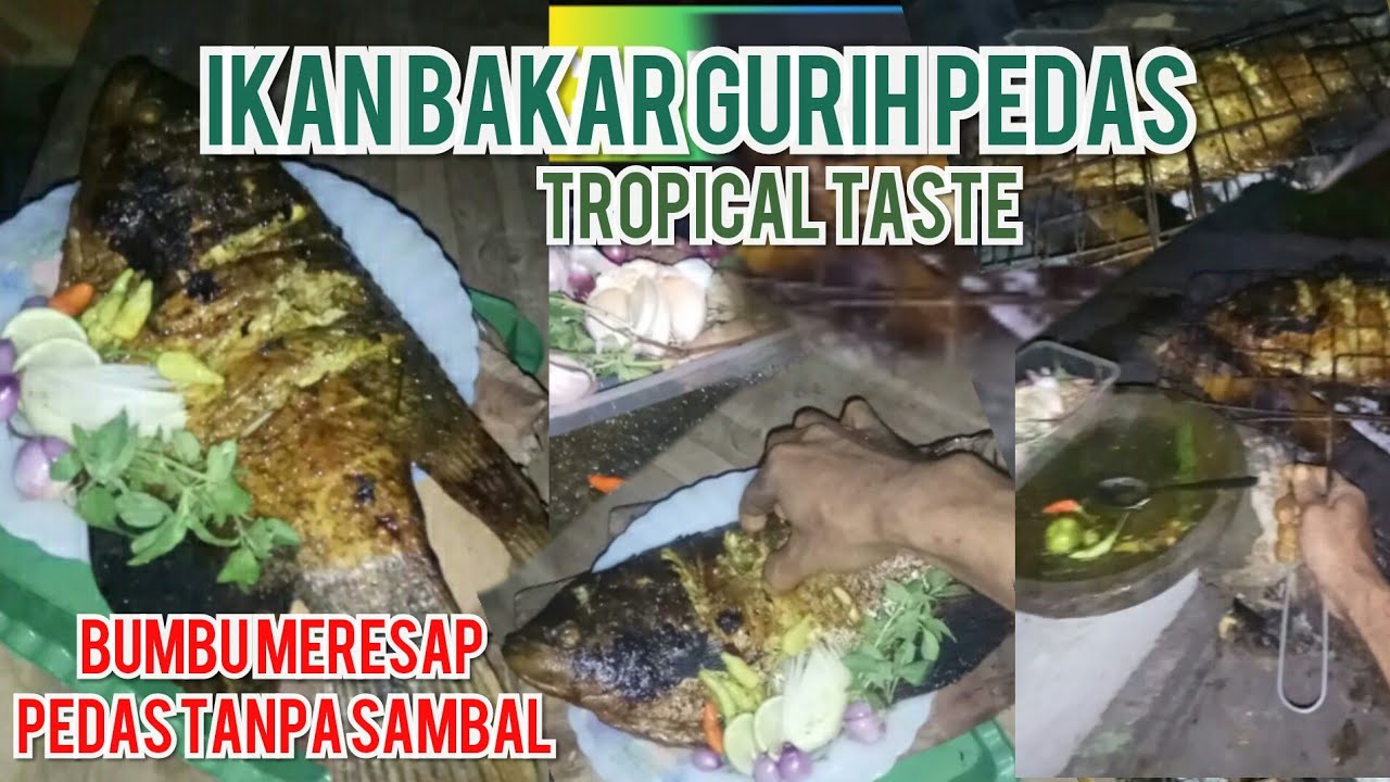 Bushcraft Cooking Fish Grilled in Garden #gardeners - YouTube