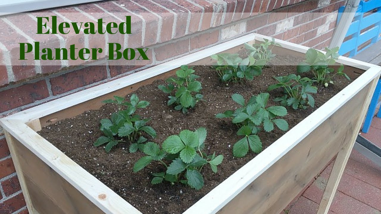 How to Build a DIY Elevated Planter Box | Remodelaholic - YouTube