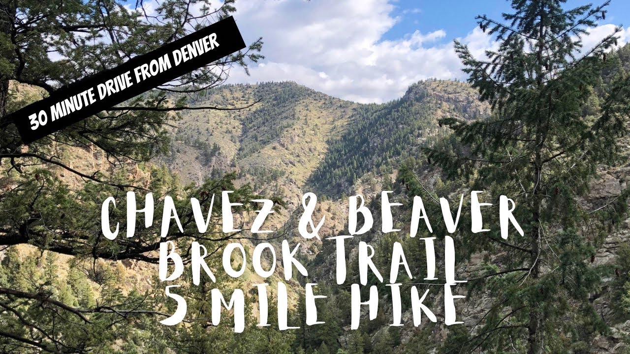 What to do in Golden, Colorado! Hike Chavez & Beaver Brook Trail - YouTube