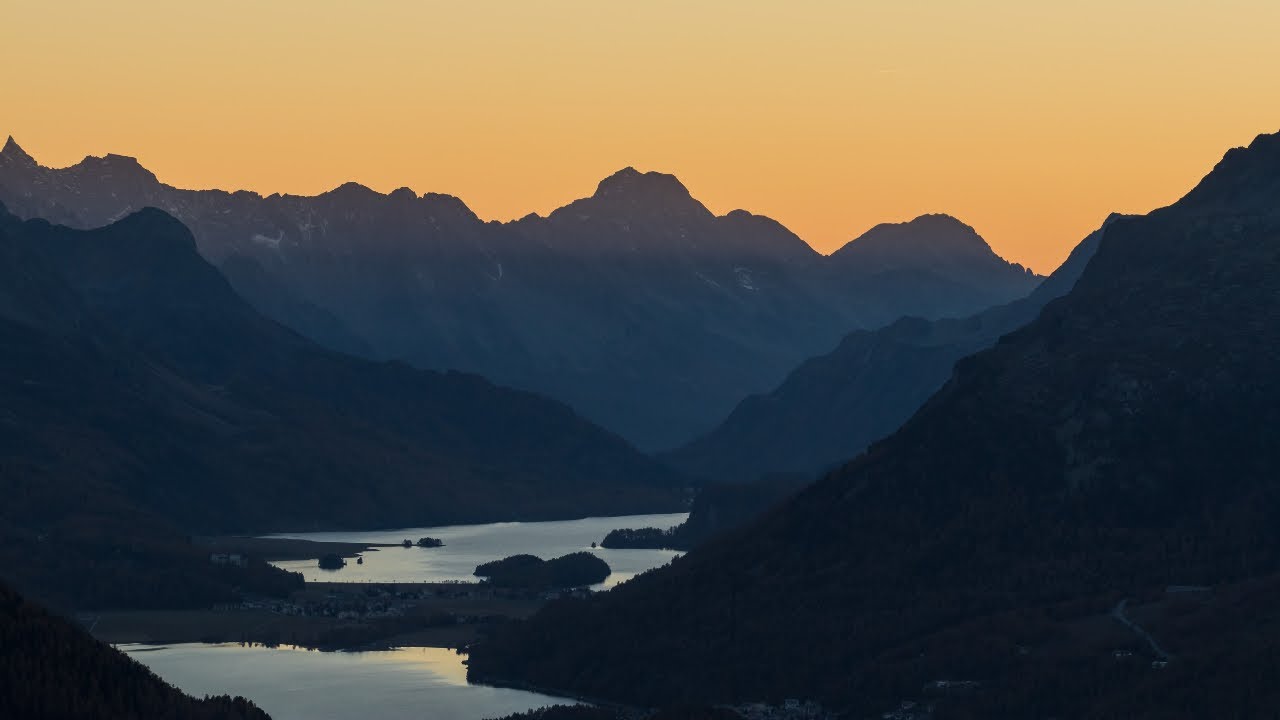 Finding green bush in the dead forest (Nature Visualizer) - YouTube