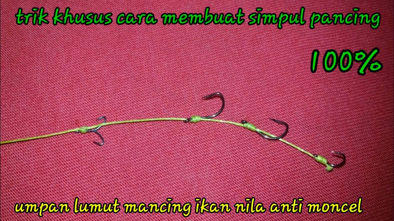 CARA MEMBUAT SIMPUL PANCING MANCING IKAN NILA UMPAN LUMUT ANTI LEPAS ...