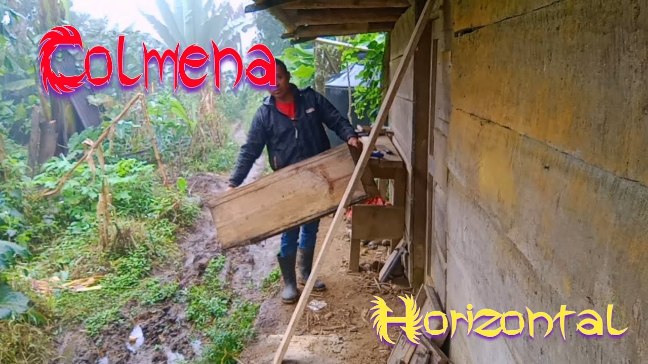 Colmena horizontal funciona bien - YouTube