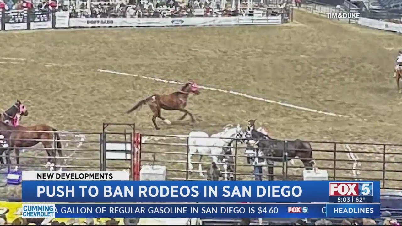 Push To Ban Rodeos In San Diego - YouTube